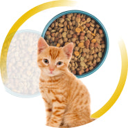 snoopytail – Snoopy Tail