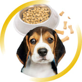 snoopytail – Snoopy Tail